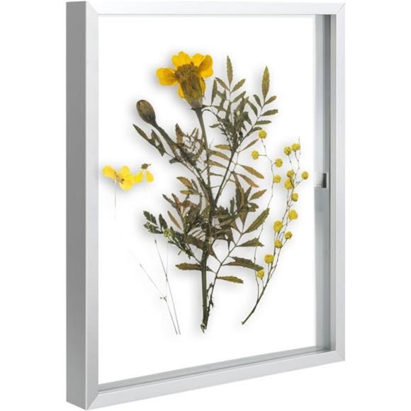 Accents | Floating Picture Frame 8x1 Silver Metal Photo Frame For Wall ...